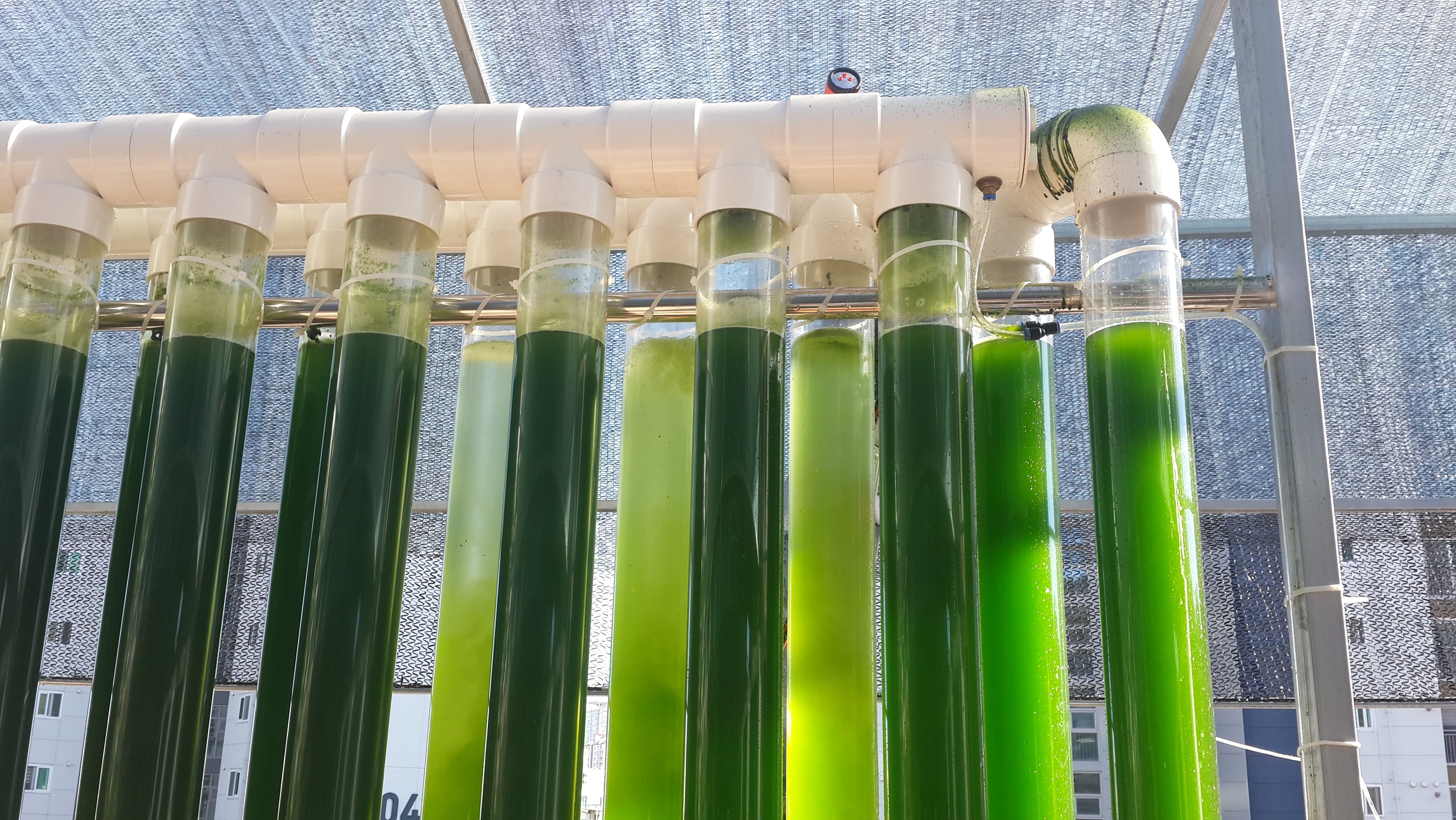 서강대학교-바이오모방 및 정밀기기 연구실